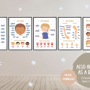 My Senses Poster | Montessori Homeschool Educational Poster for Boys ...