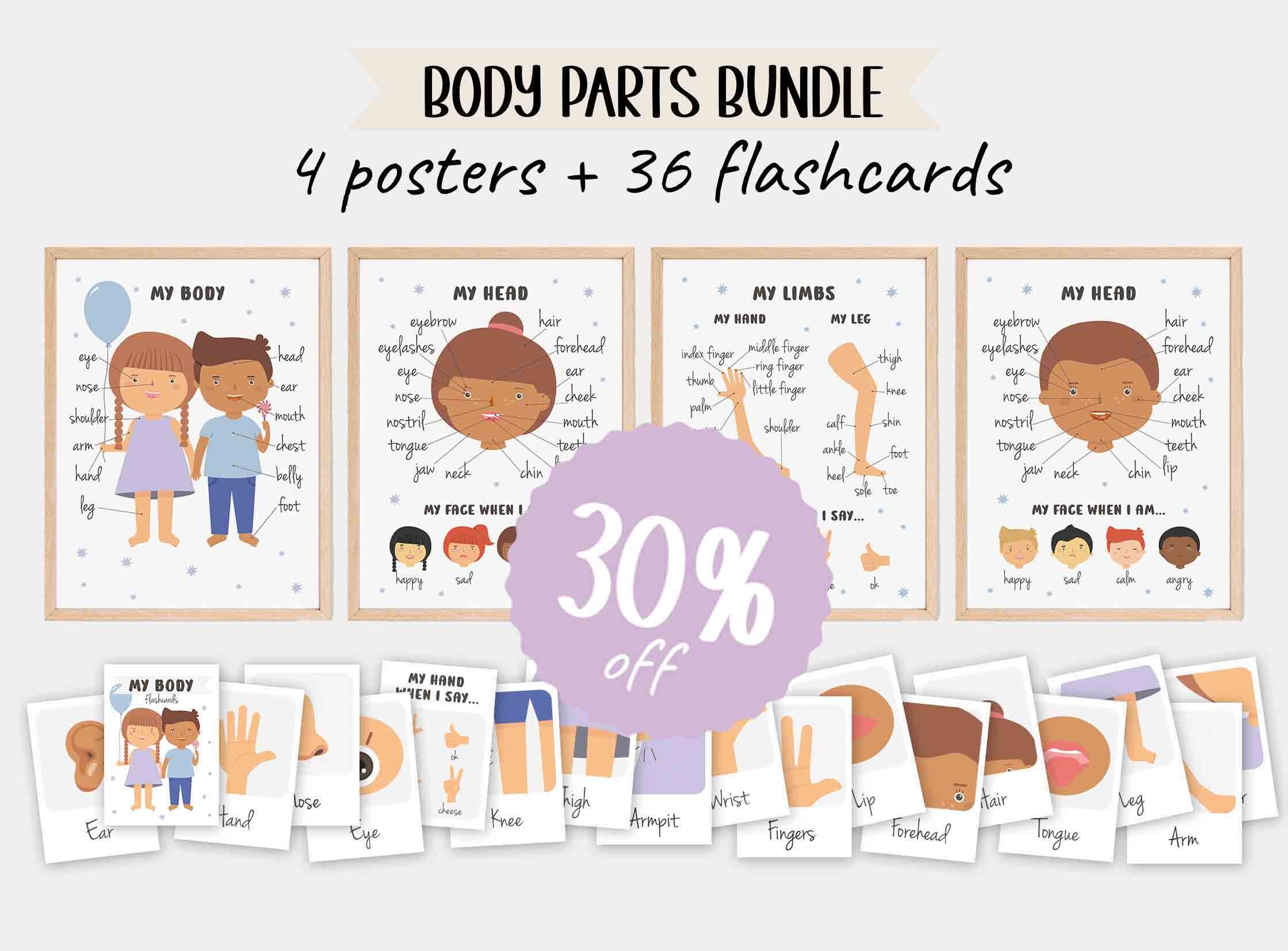 Body Parts Posters Flashcards Bundle Preschool Flash Cards - Etsy