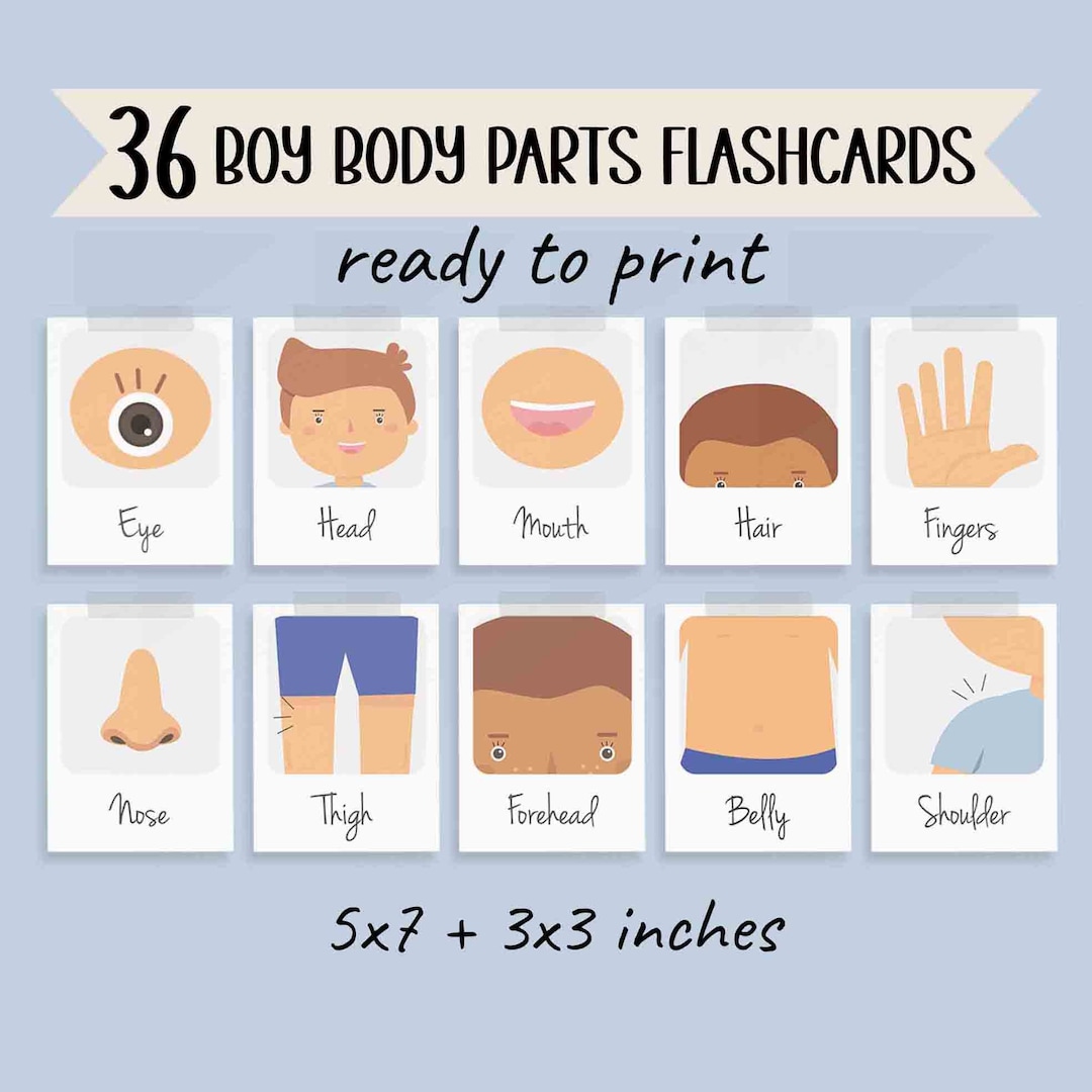 Body Parts Flashcards | Preschool Flash Card | Human Anatomy & Organs ...