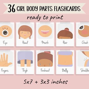 Body Parts Posters + Flashcards Bundle | Preschool Flash Cards | Human ...