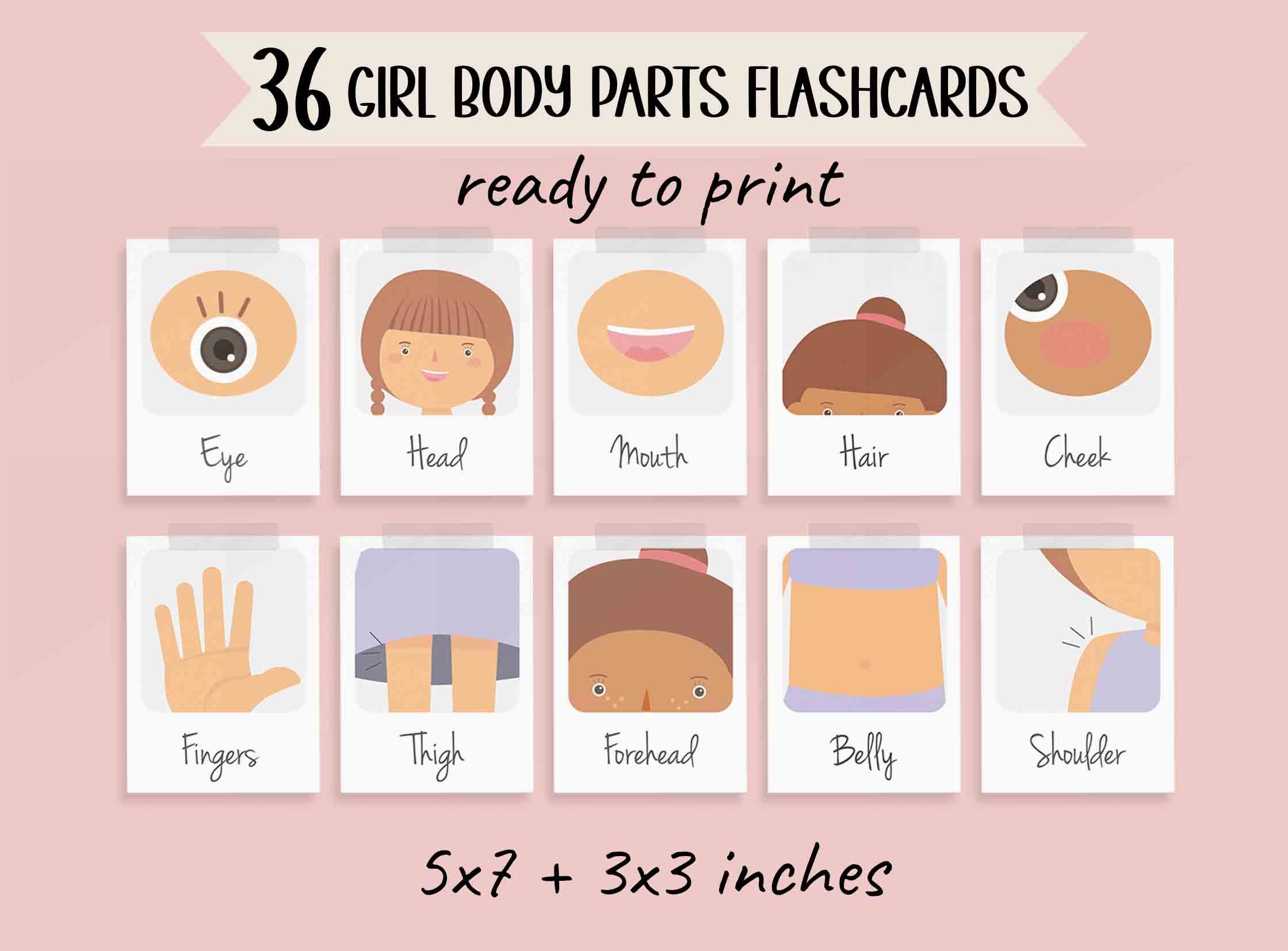 Body Parts Posters Flashcards Bundle Preschool Flash Cards - Etsy