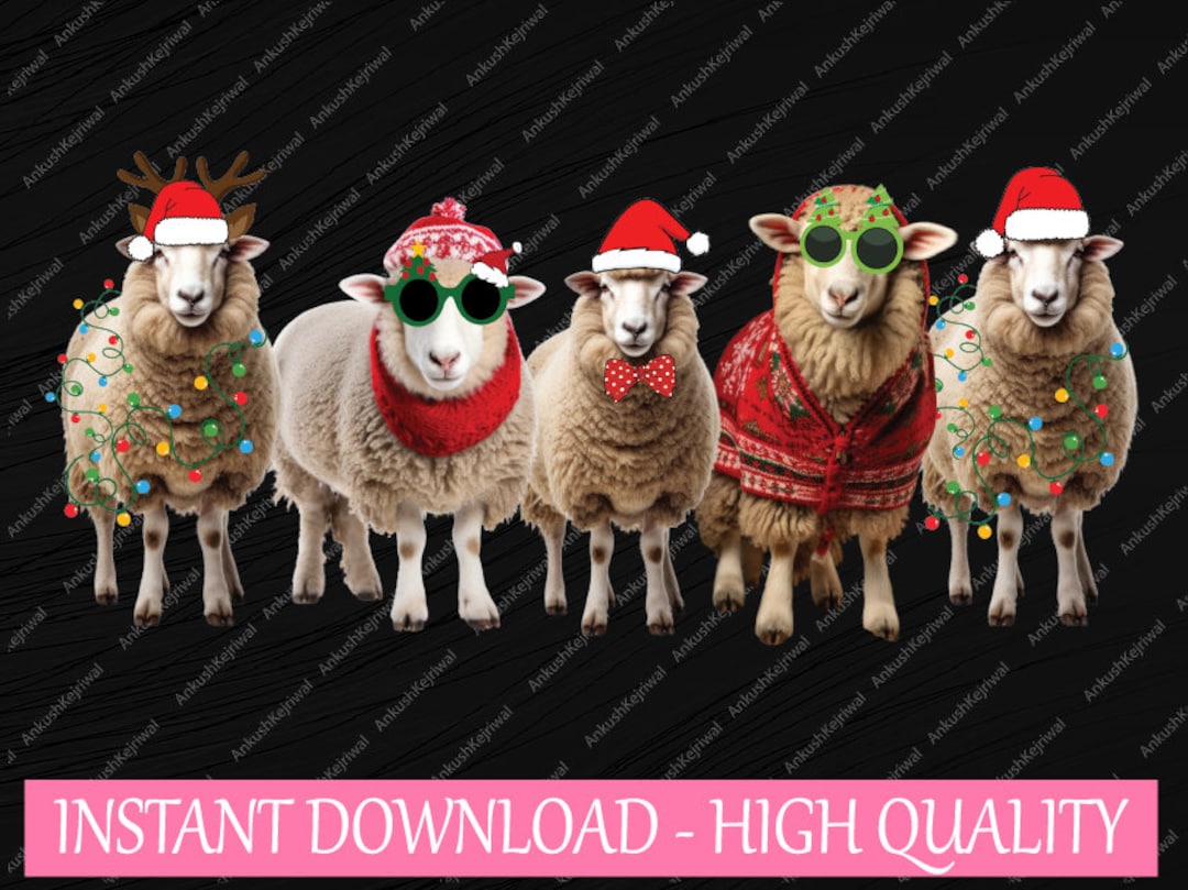 Sheep Christmas Light Png, Christmas Sheeps Farm Animal Xmas Png, Sheep ...