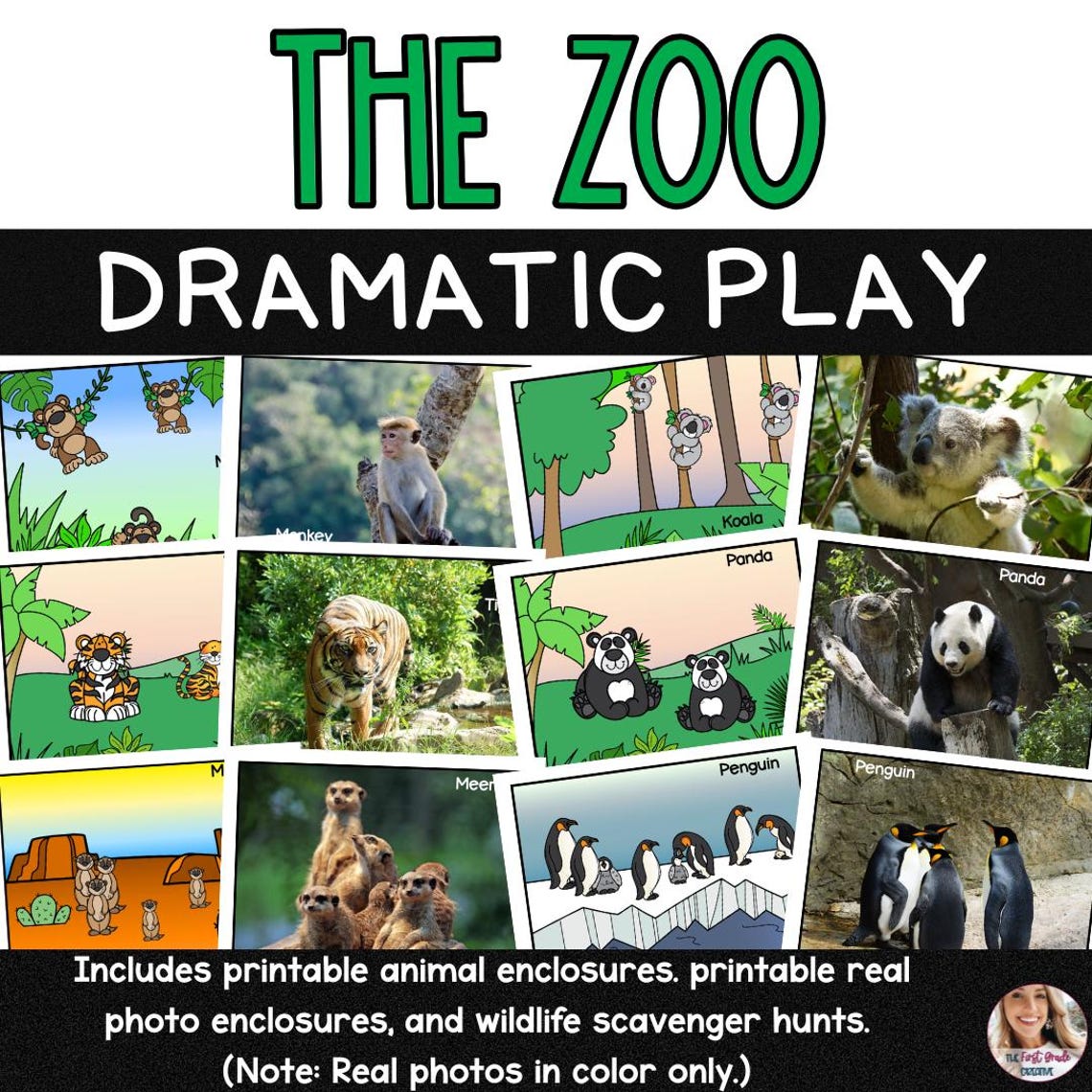 Zoo Dramatic Play Center / Safari Park Pretend Play / Elementary School ...