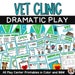 Vet Clinic Dramatic Play Center / Pretend Play / Elementary School ...