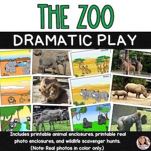 Zoo Dramatic Play Center / Safari Park Pretend Play / Elementary School ...
