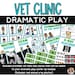 Vet Clinic Dramatic Play Center / Pretend Play / Elementary School ...