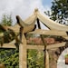 The Curved Dragon Pergola, Pressure Treated, Top Quality, Garden ...