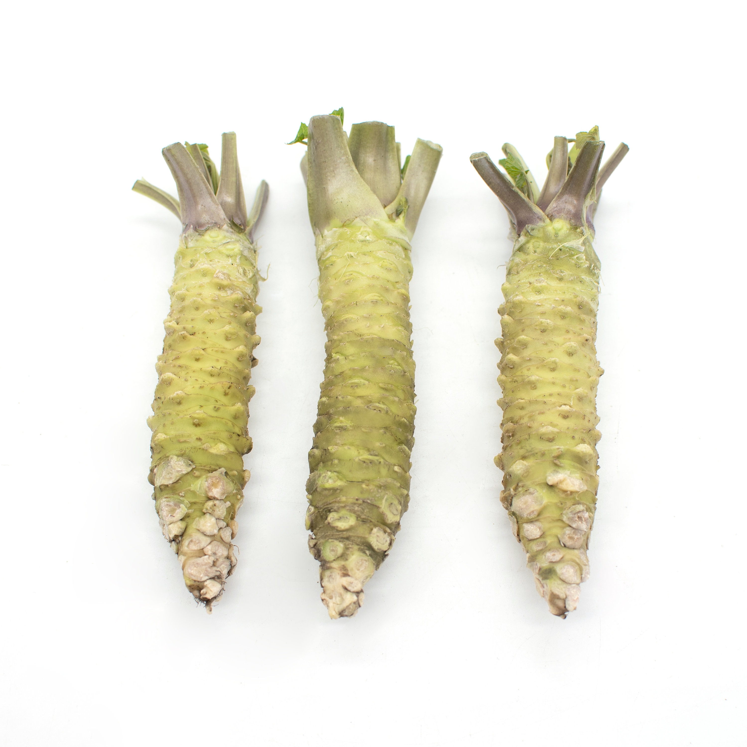 Fresh Wasabi Rhizome 50g - Etsy
