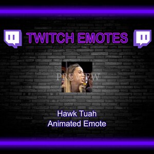 Hawk Tuah Animated Emote - Etsy