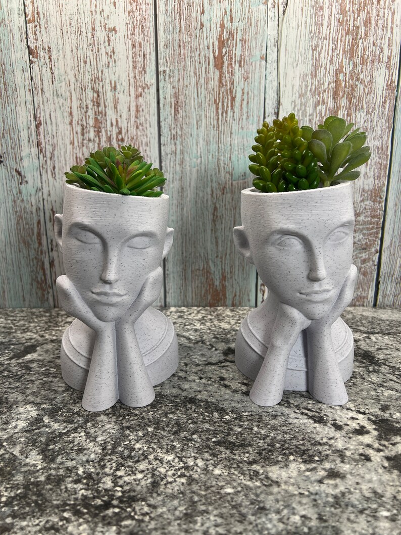 Face Planter Succulent Planter Pot, Decor Set - Etsy
