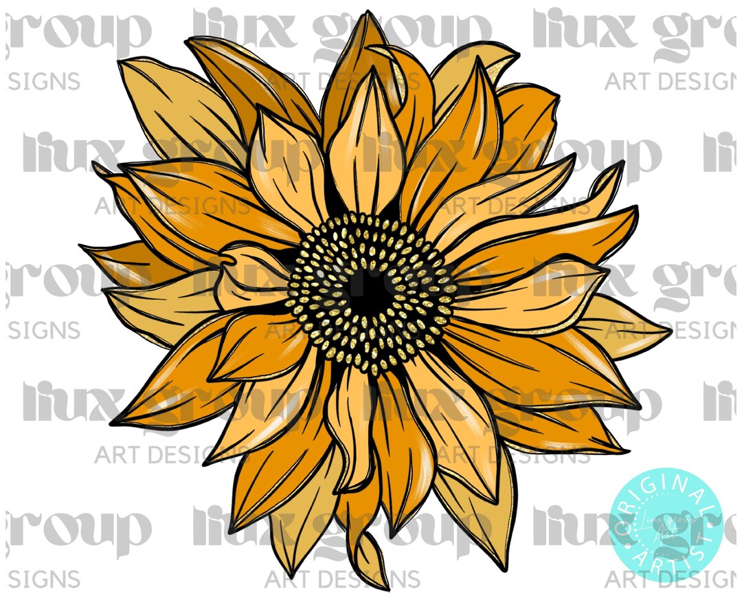 Sunflower Hand Drawn PNG, Sunflower PNG Sublimation Designs - Etsy