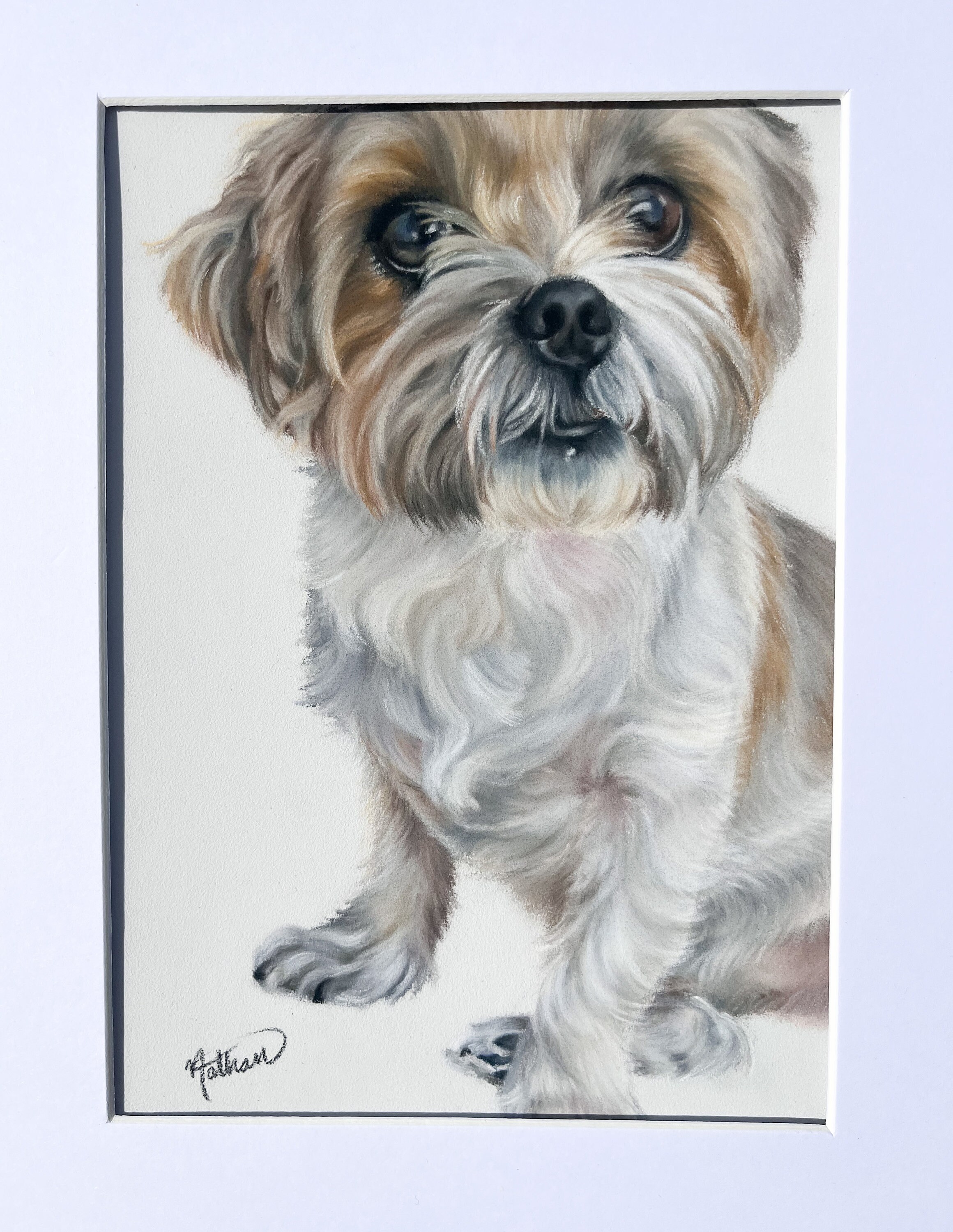 Custom Pet Portrait, Pastel Painting, Dog Portrait, Dog Memorial - Etsy