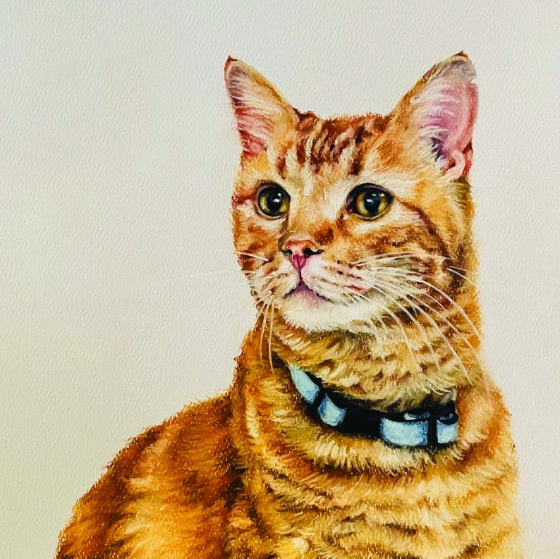 Custom Cat Portrait From Photo – Pastel Pet Memorial Artwork ...