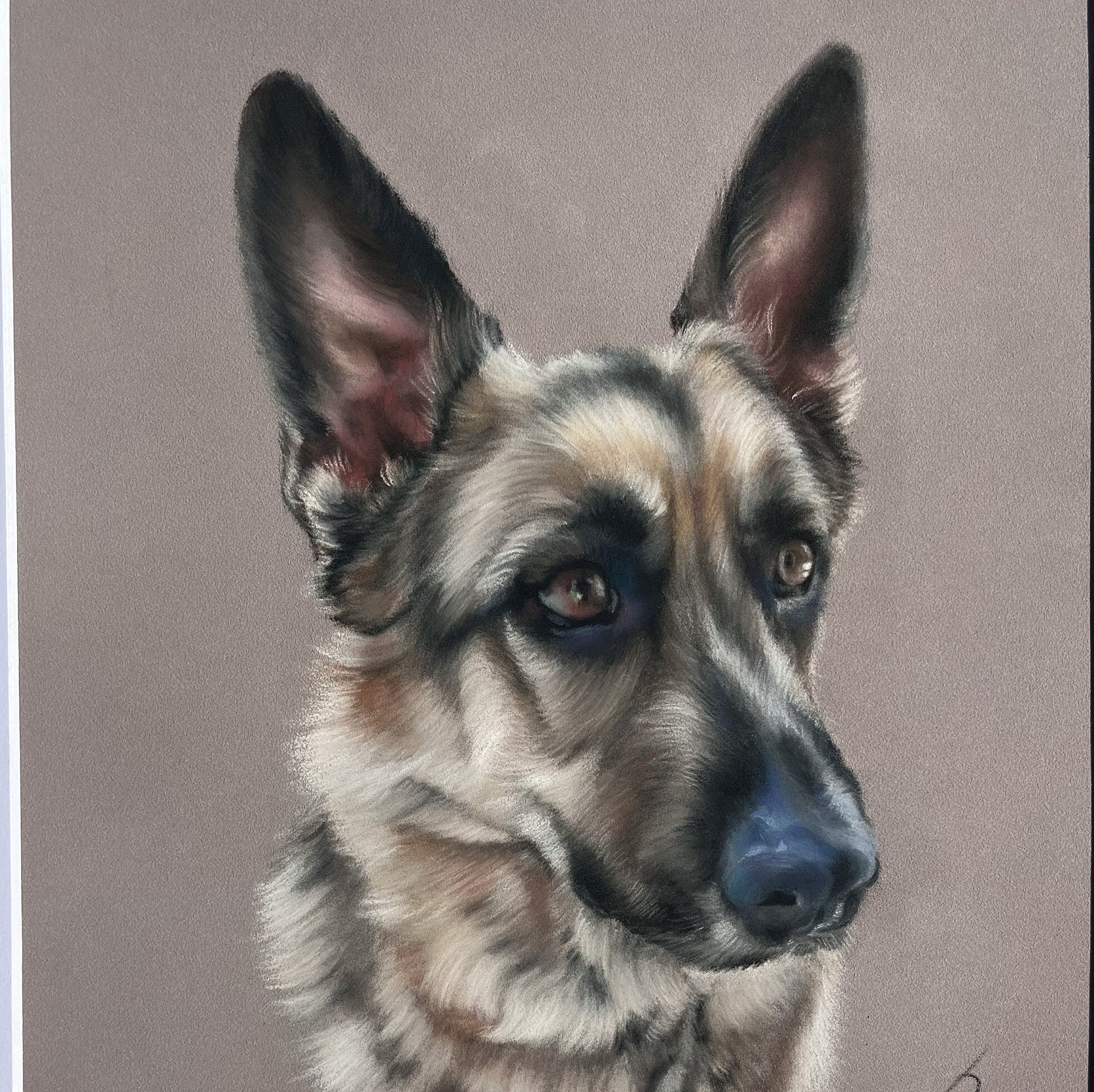 Custom Pet Portrait, Pastel Painting, Dog Portrait, Dog Memorial - Etsy