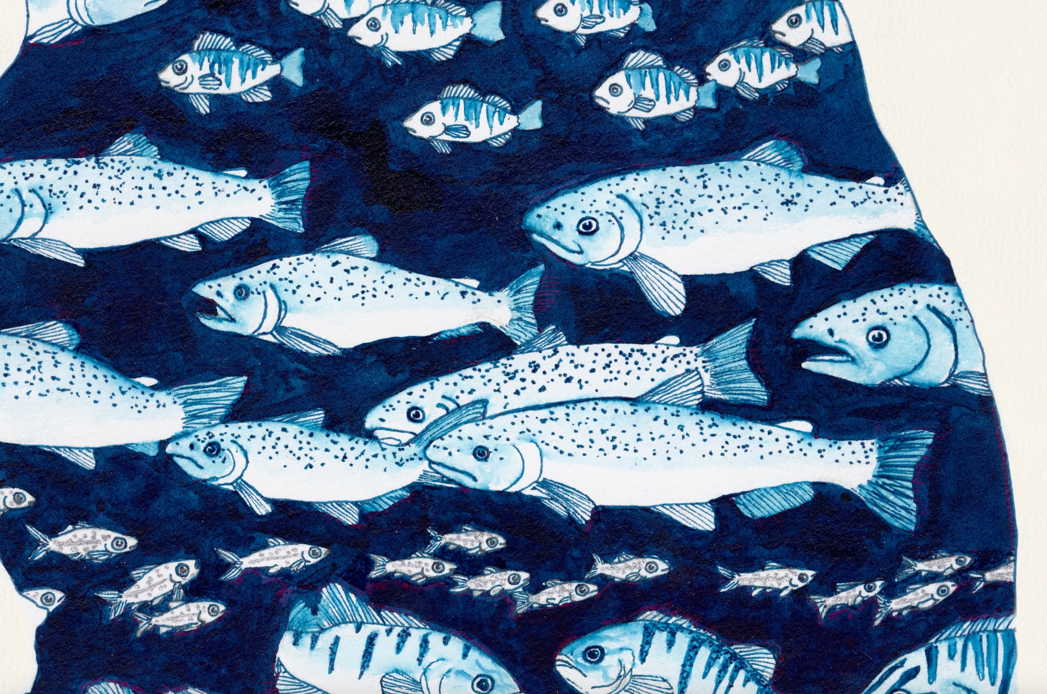 Fish of Lake Michigan Sticker - Etsy