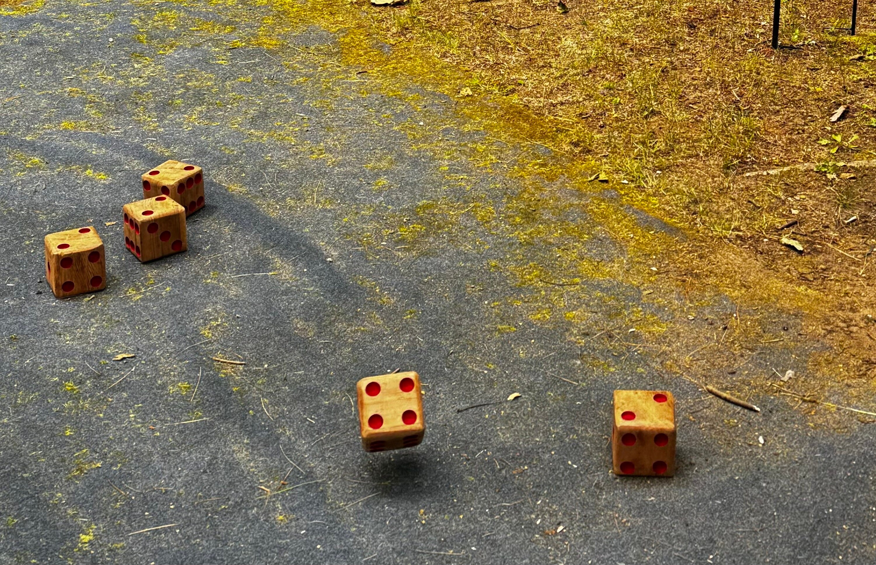 YARDZEE - "4x4" Cedar Yard Game - Etsy