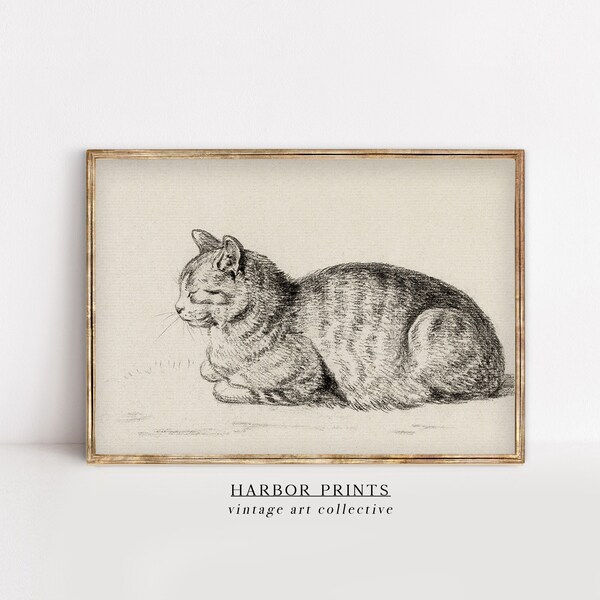 Antique Cat Etching - Etsy