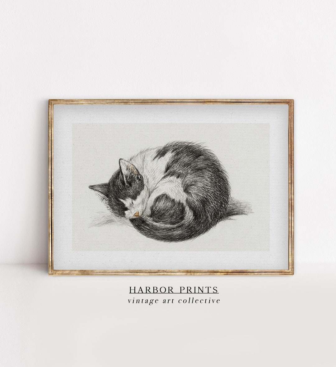 Vintage Kitten Sketch, Etching, Cat Printable Wall Art, Farmhouse Decor ...