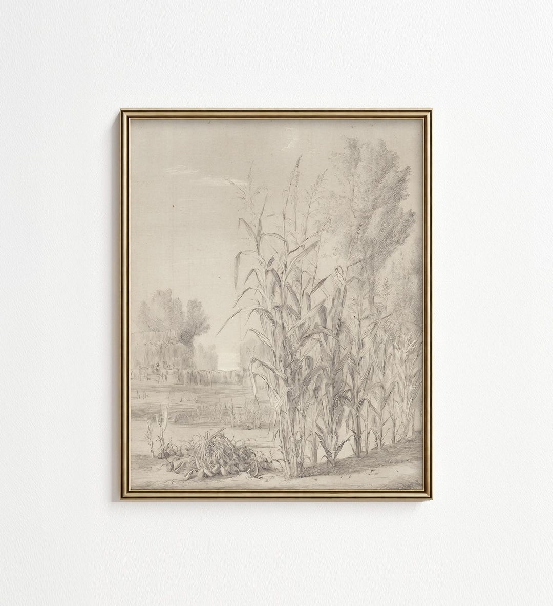 Vintage Farmhouse Cornfield Drawing - Printable Wall Art, Monochrome ...