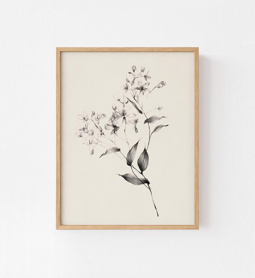 Botanical Stem Print - Vintage Line Drawing, Scandinavian Wall Art ...