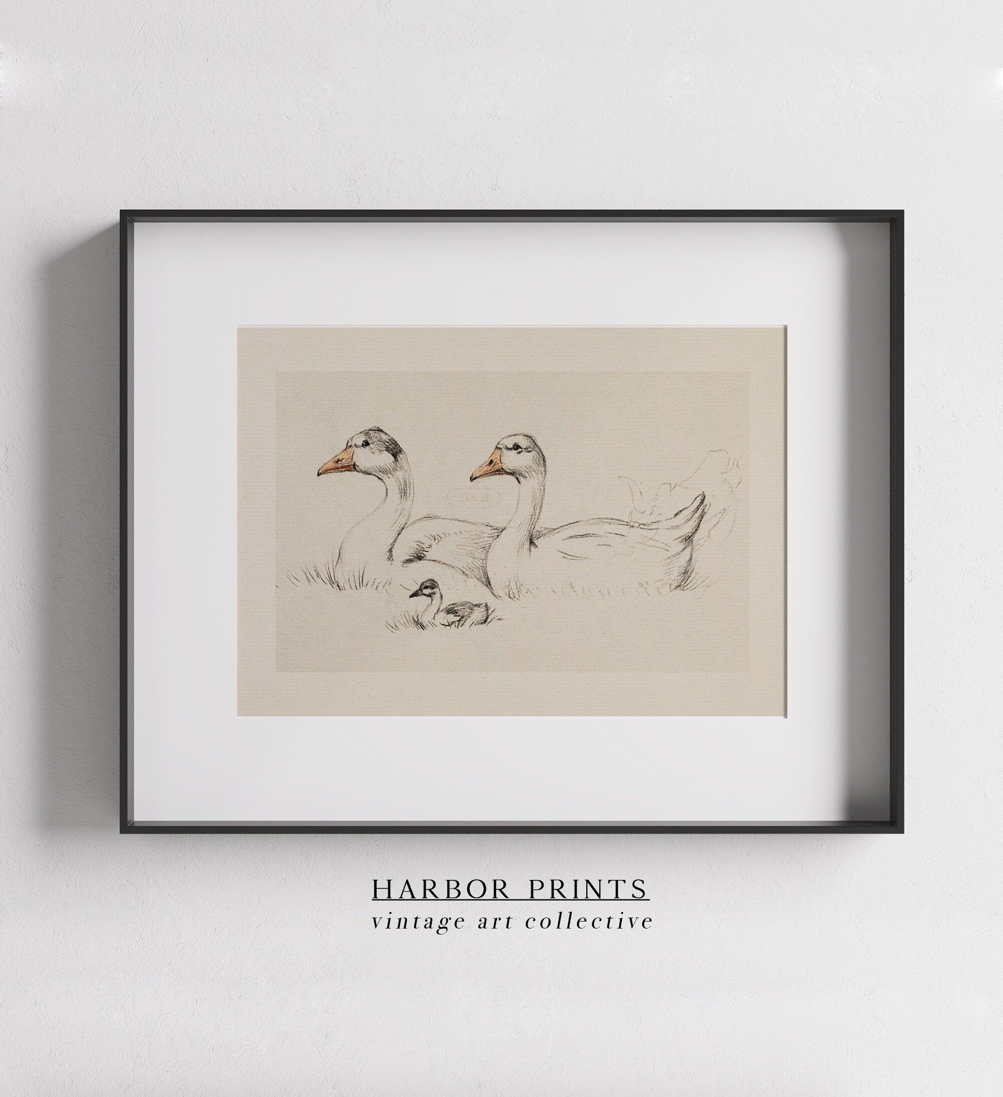 Vintage Ducks Sketch, Antique Drawing and Paintings, Farmhouse and ...