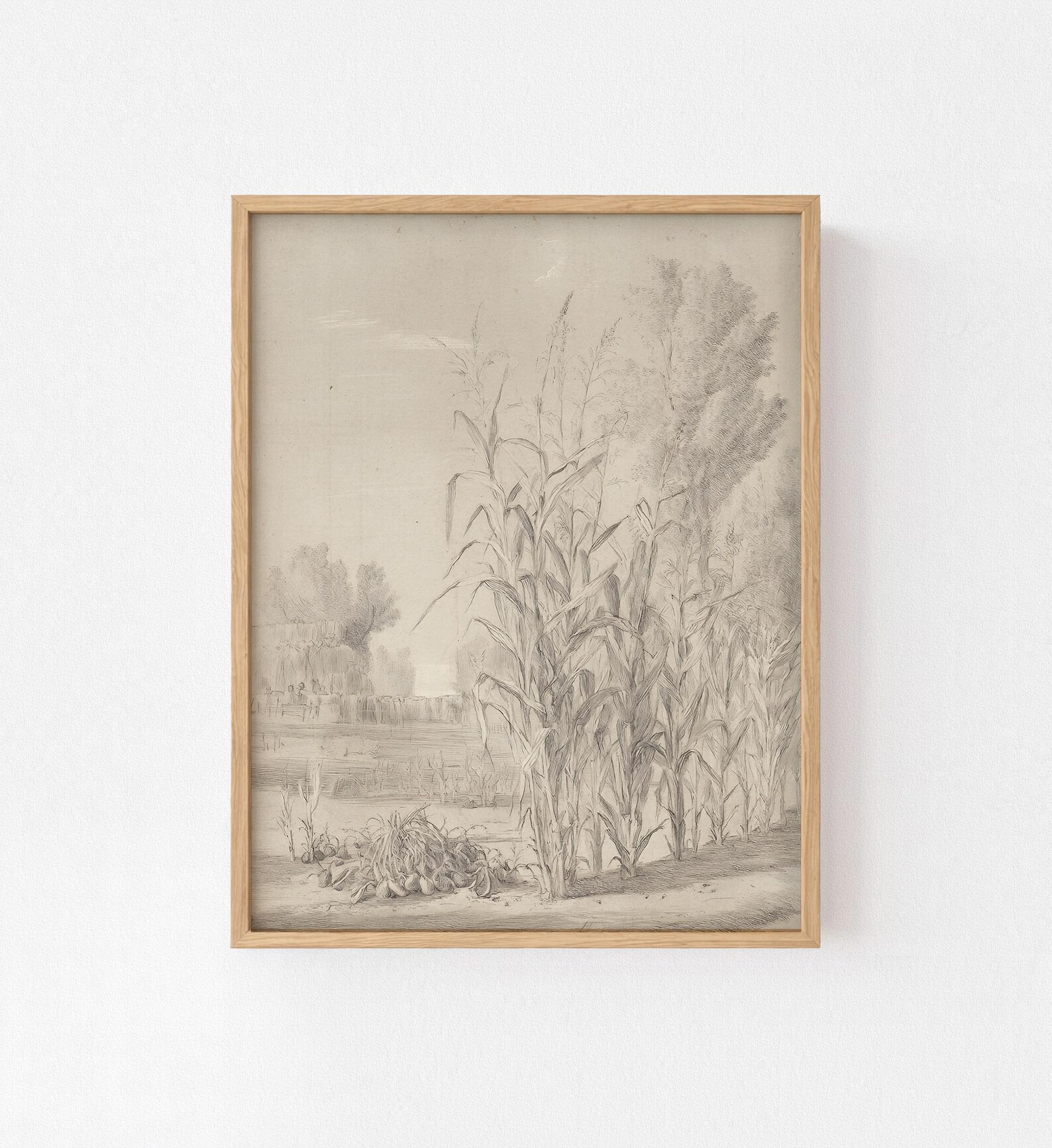 Vintage Farmhouse Landscape Drawing - Printable Wall Art of Corn Stalks ...
