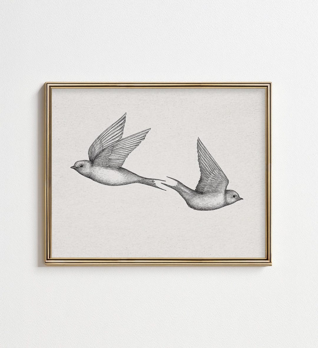 Vintage Swallow Bird Study - Printable Wall Art, Classic Hand-drawn ...