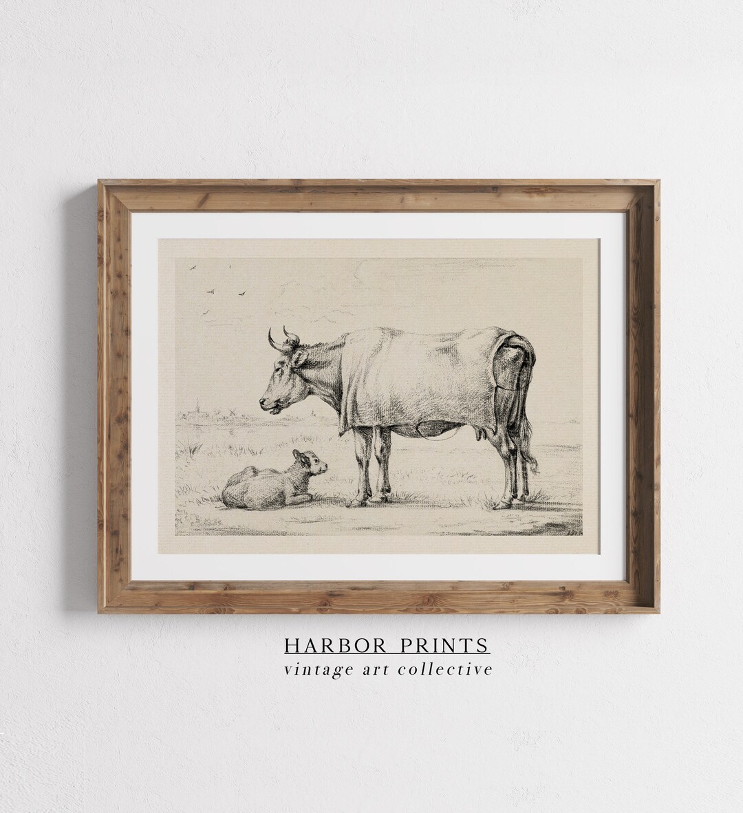 Vintage Drawing of Cows Antique Wall Art Print Etching and - Etsy