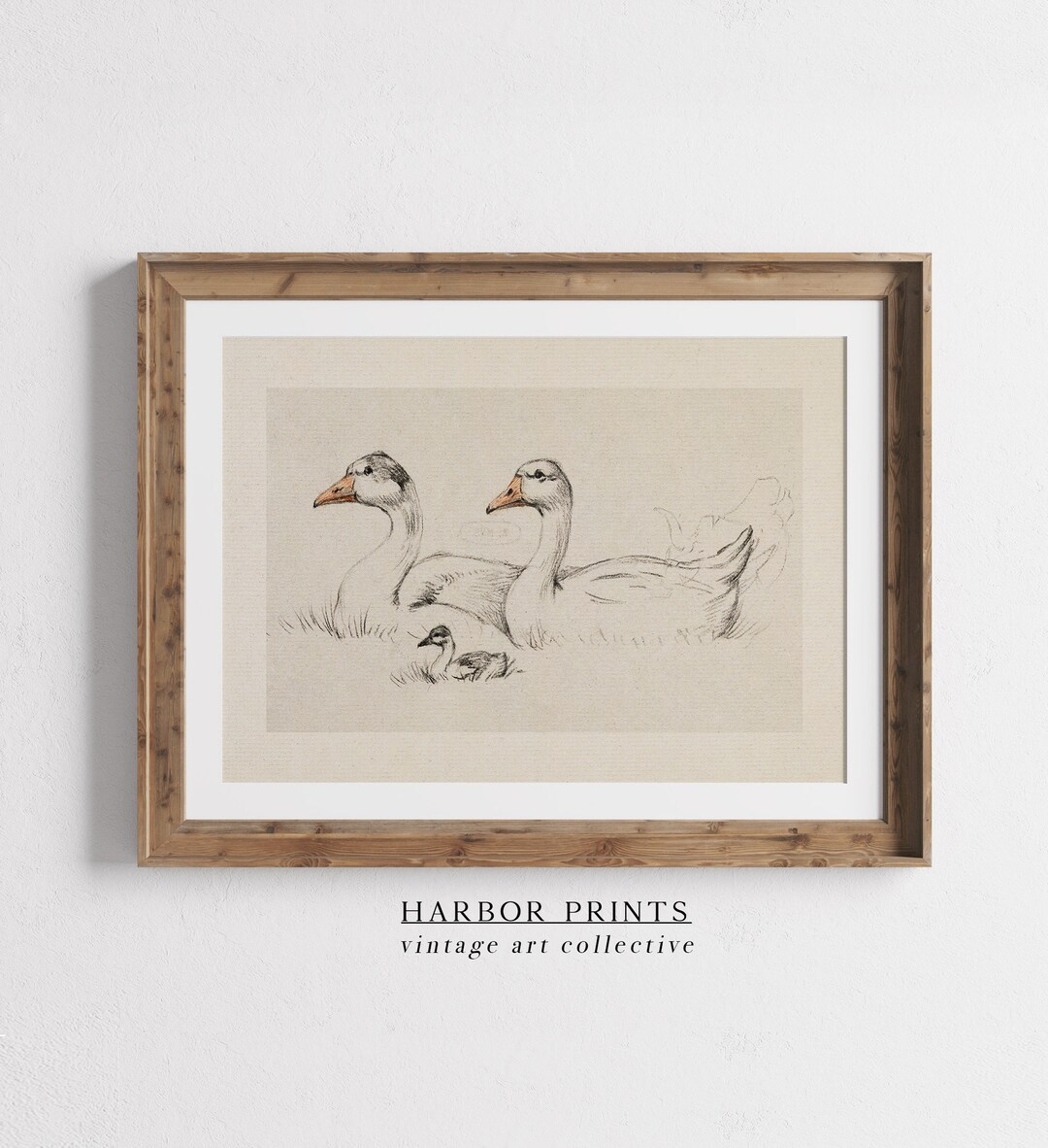 Vintage Ducks Sketch Antique Drawing and Paintings Farmhouse - Etsy