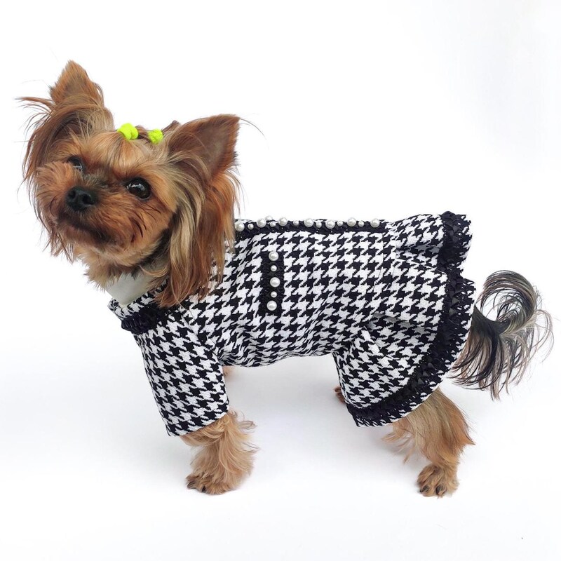 Small Dog Clothes - Etsy