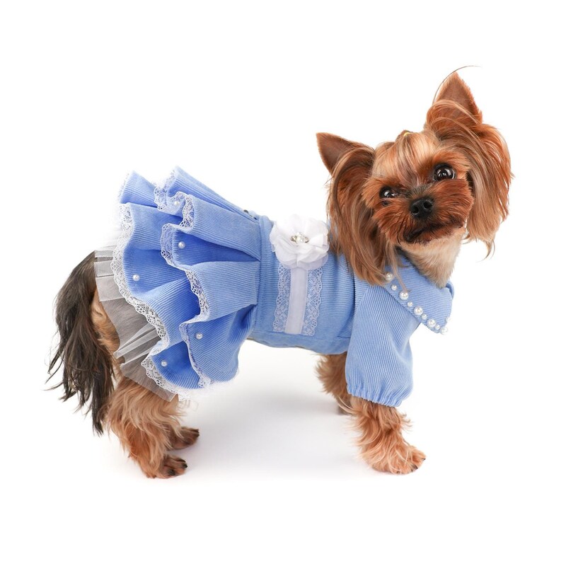 Elegant Dog Dress - Etsy