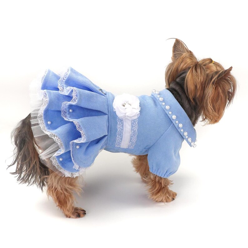 Blue Birthday Dog Dress Designer Small Pet Clothes Yorkie Girl Outfit ...