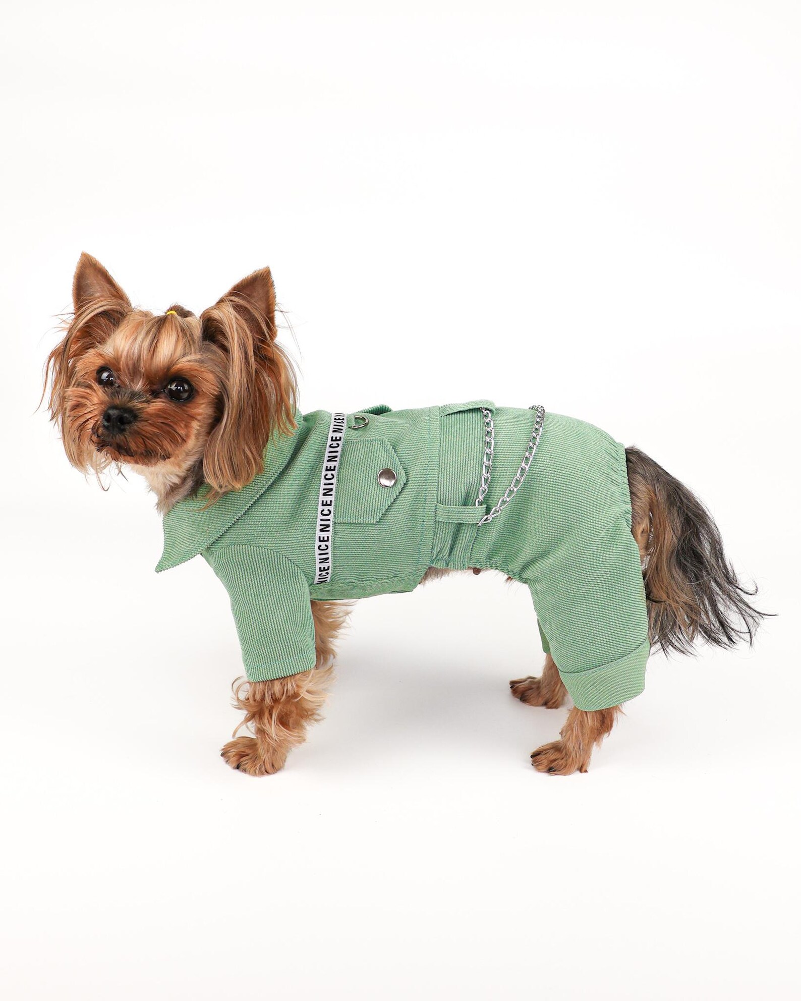 Cute Fancy Dog Jumpsuit Boy Dog Clothes Designer Custom Pet Outfit ...
