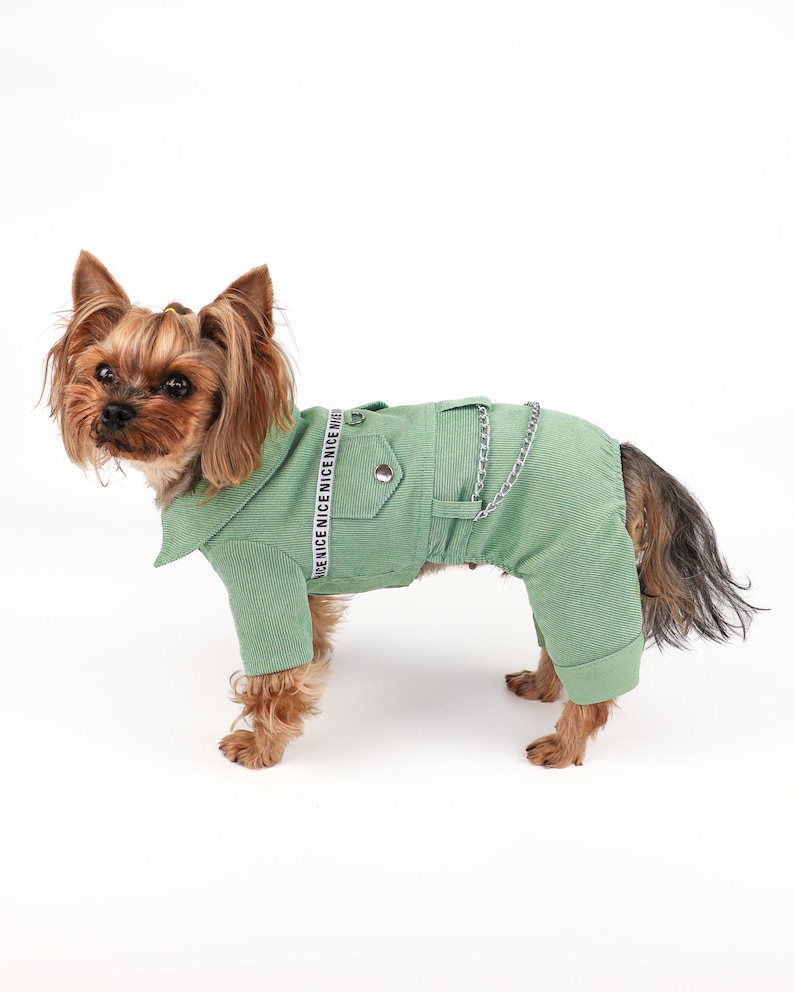 Cute Fancy Dog Jumpsuit Boy Dog Clothes Designer Custom Pet Outfit ...