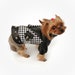 Black Leather Dog Jacket Luxyry Designer Dog Clothes Gift for Dog ...