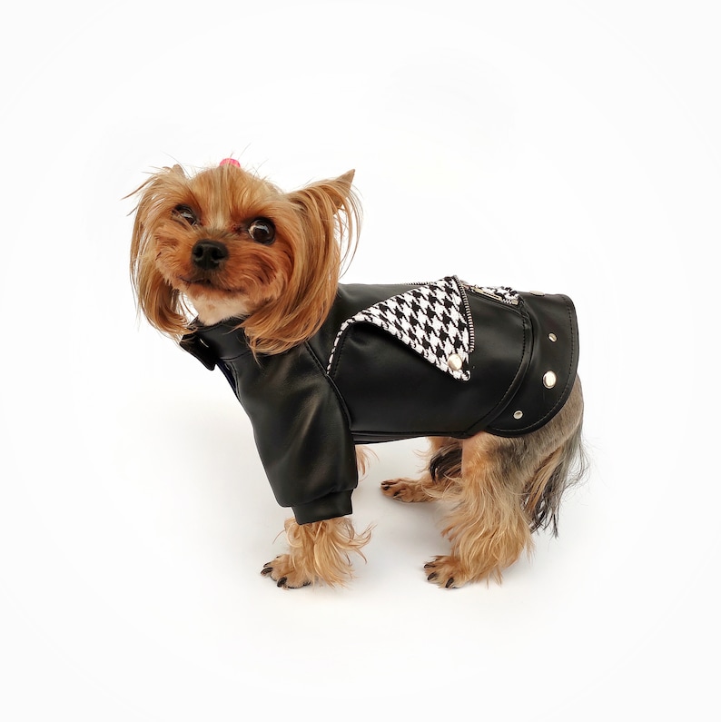 Black Leather Dog Jacket Luxyry Designer Dog Clothes Gift for Dog ...
