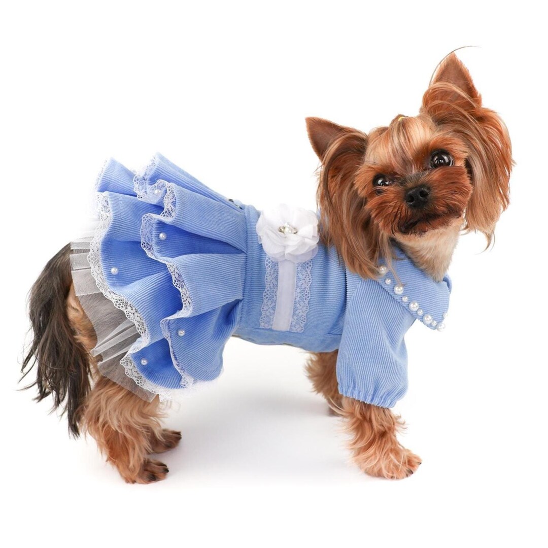 Blue Dog Dress, Birthday Dog Dress, Handmade Small Dog Clothes, Girl ...