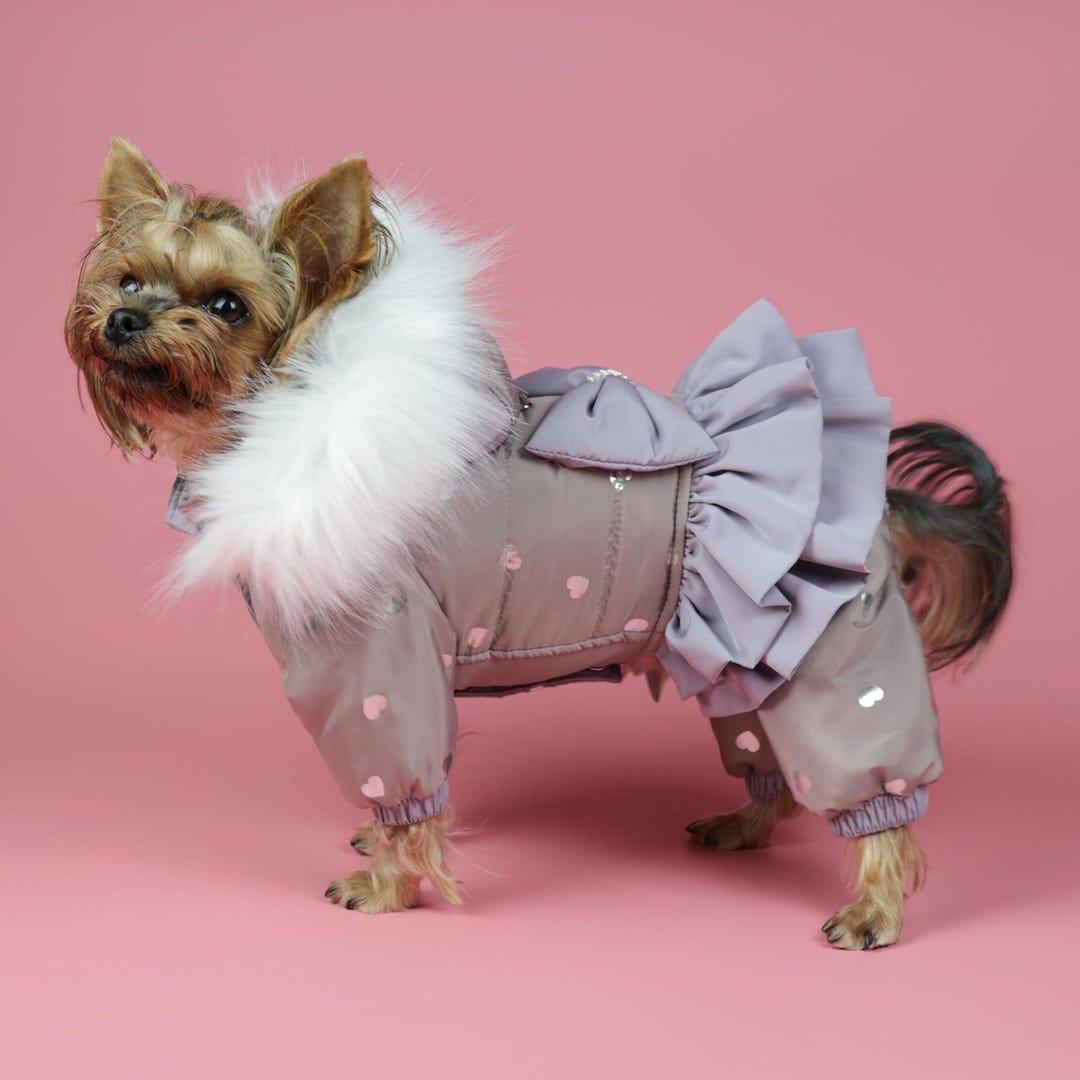 Girl Dog Snowsuit, Winter Dog Clothes, Warm Dog Jumpsuit, Dog Overall ...