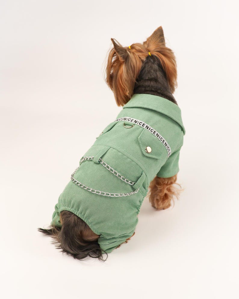 Cute Fancy Dog Jumpsuit Boy Dog Clothes Designer Custom Pet Outfit ...