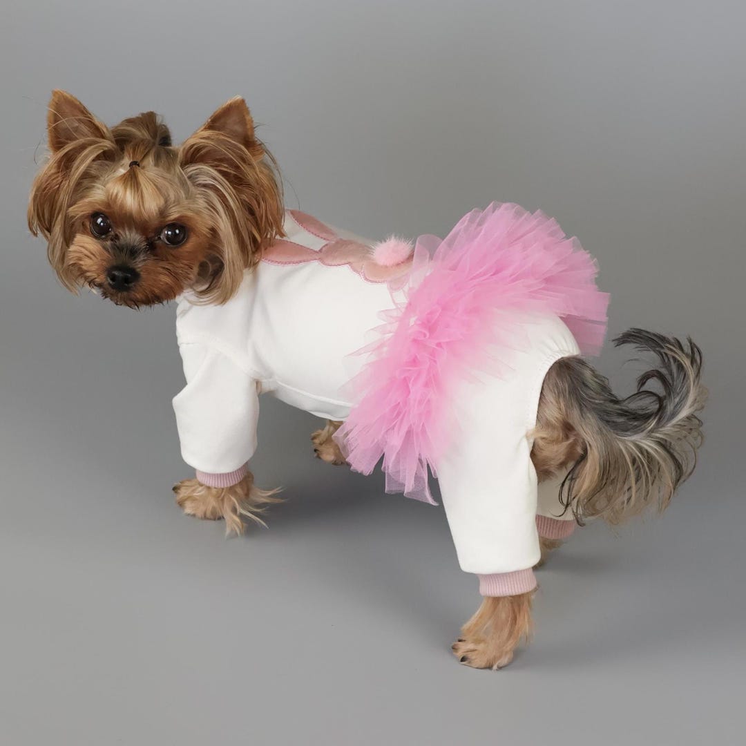 Fancy Girl Dog Jumpsuit Designer Clothes for Small Dogs Pet Onesie ...