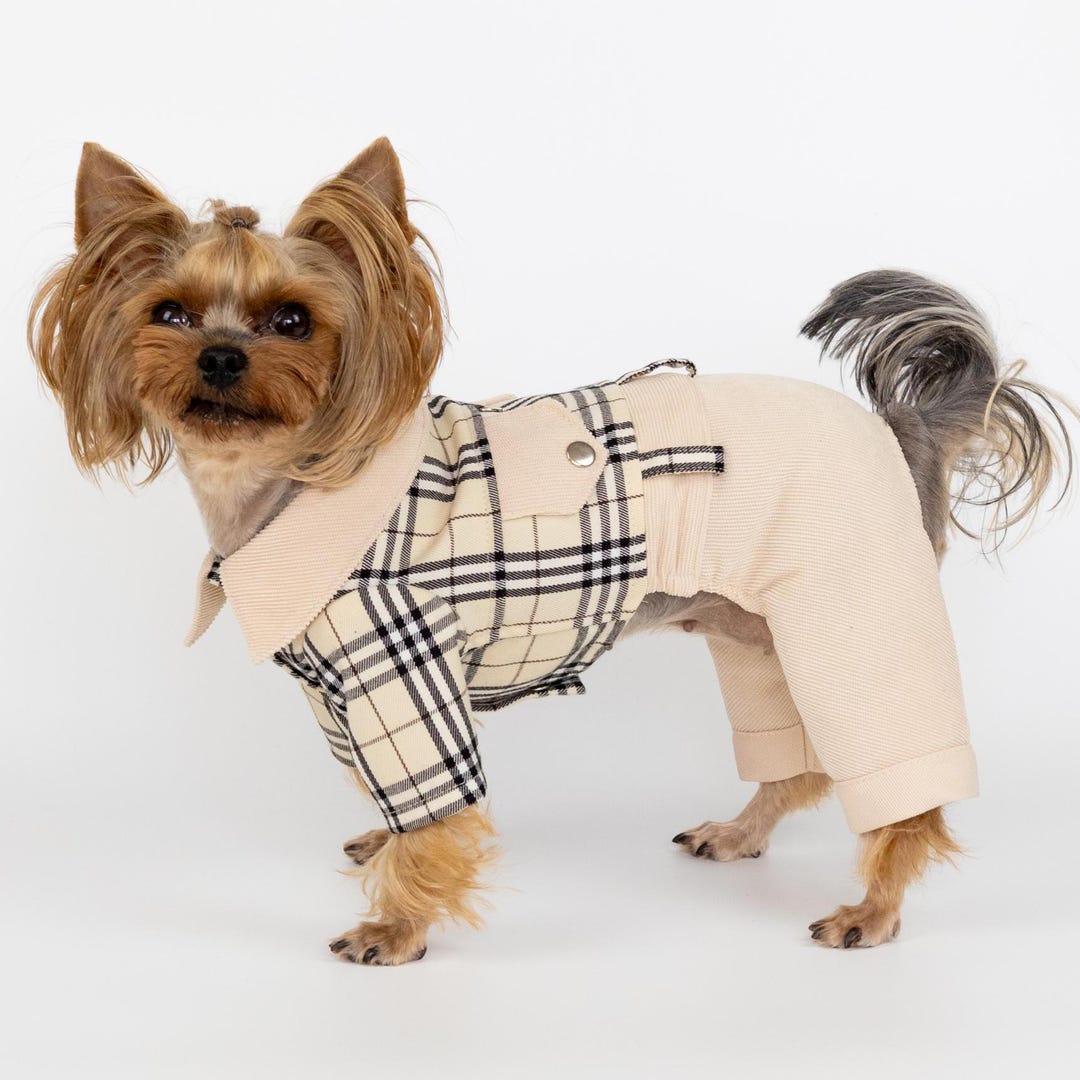 Boy Dog Clothes Cute Yorkie Clothes Dog Outfit Designer Small Dog ...