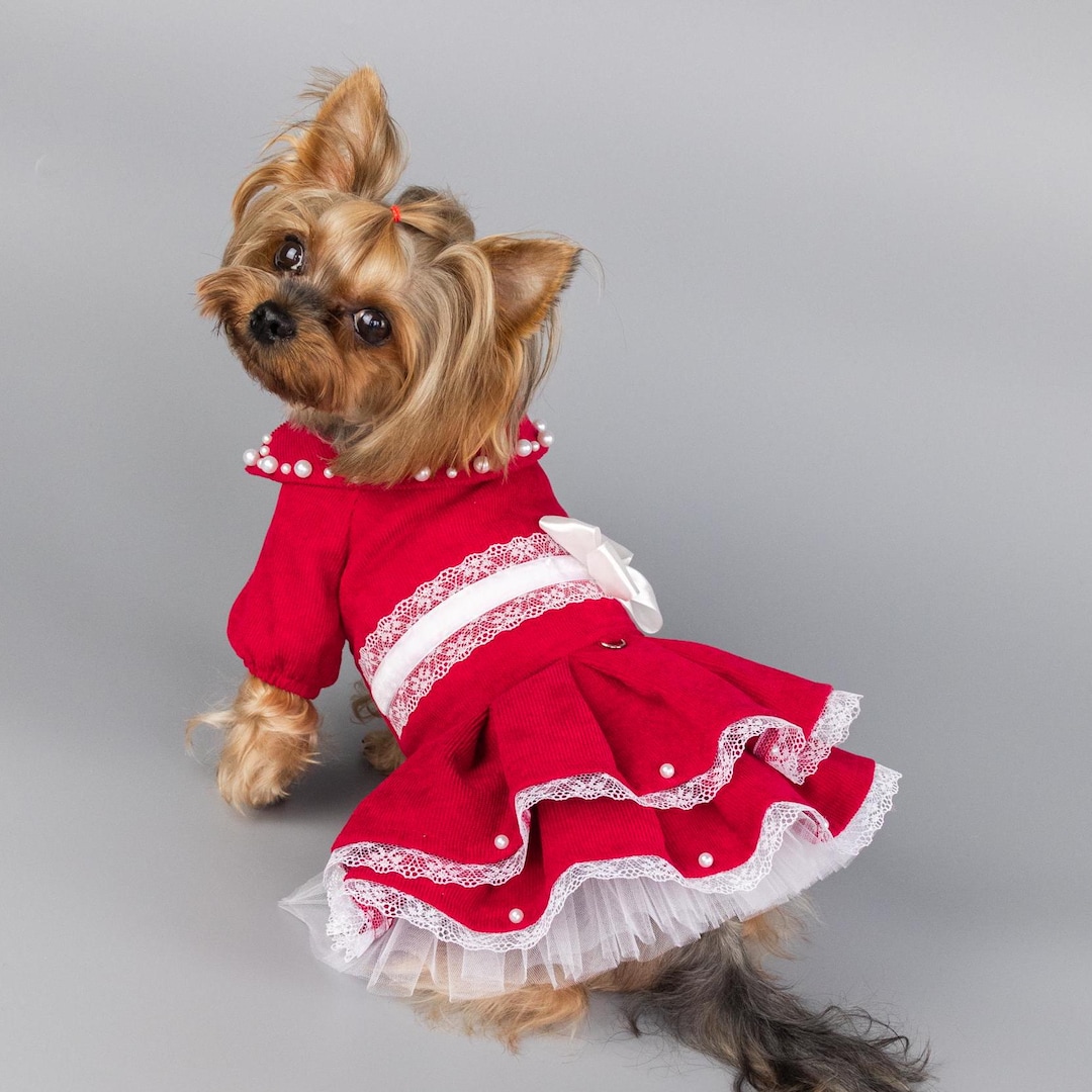 Red Dog Birthday Dress, Handmade Designer Pet Clothes for Small Dogs - Etsy