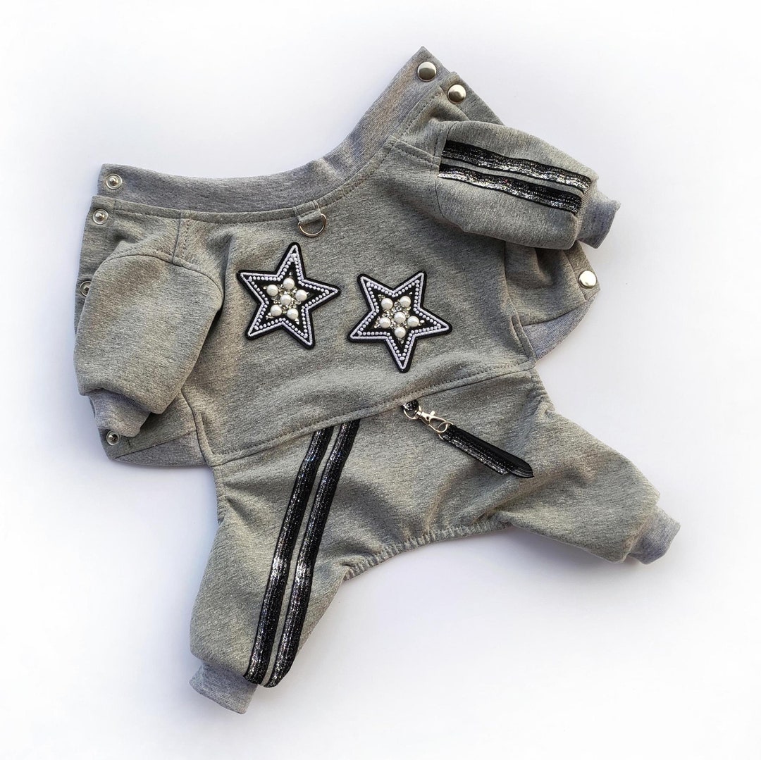 Dog Outfit Boy Dog Clothes Custom Pet Hoodie Dog Jumpsuit Designer Dog ...