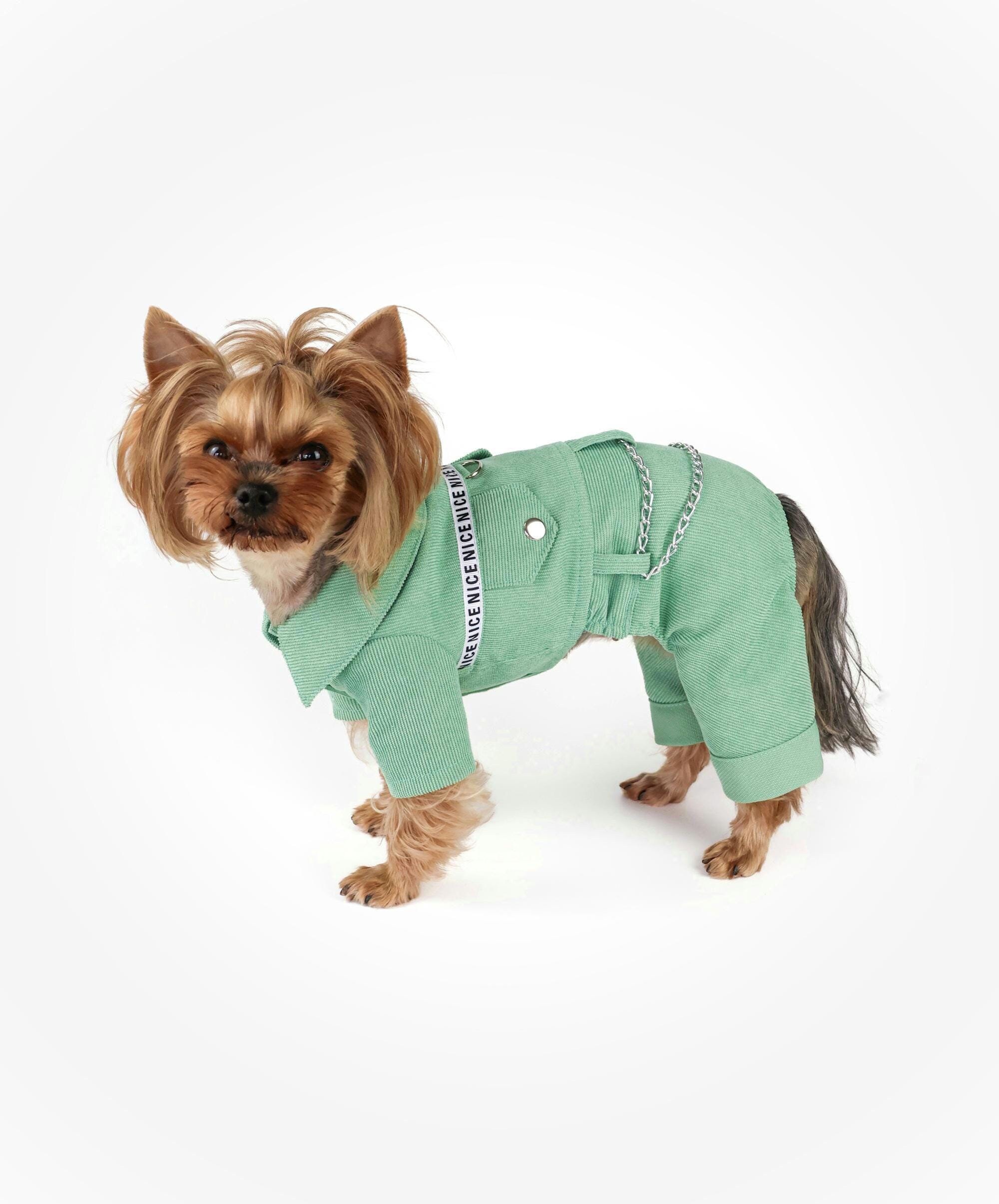 Cute Fancy Dog Jumpsuit Boy Dog Clothes Designer Custom Pet Outfit ...