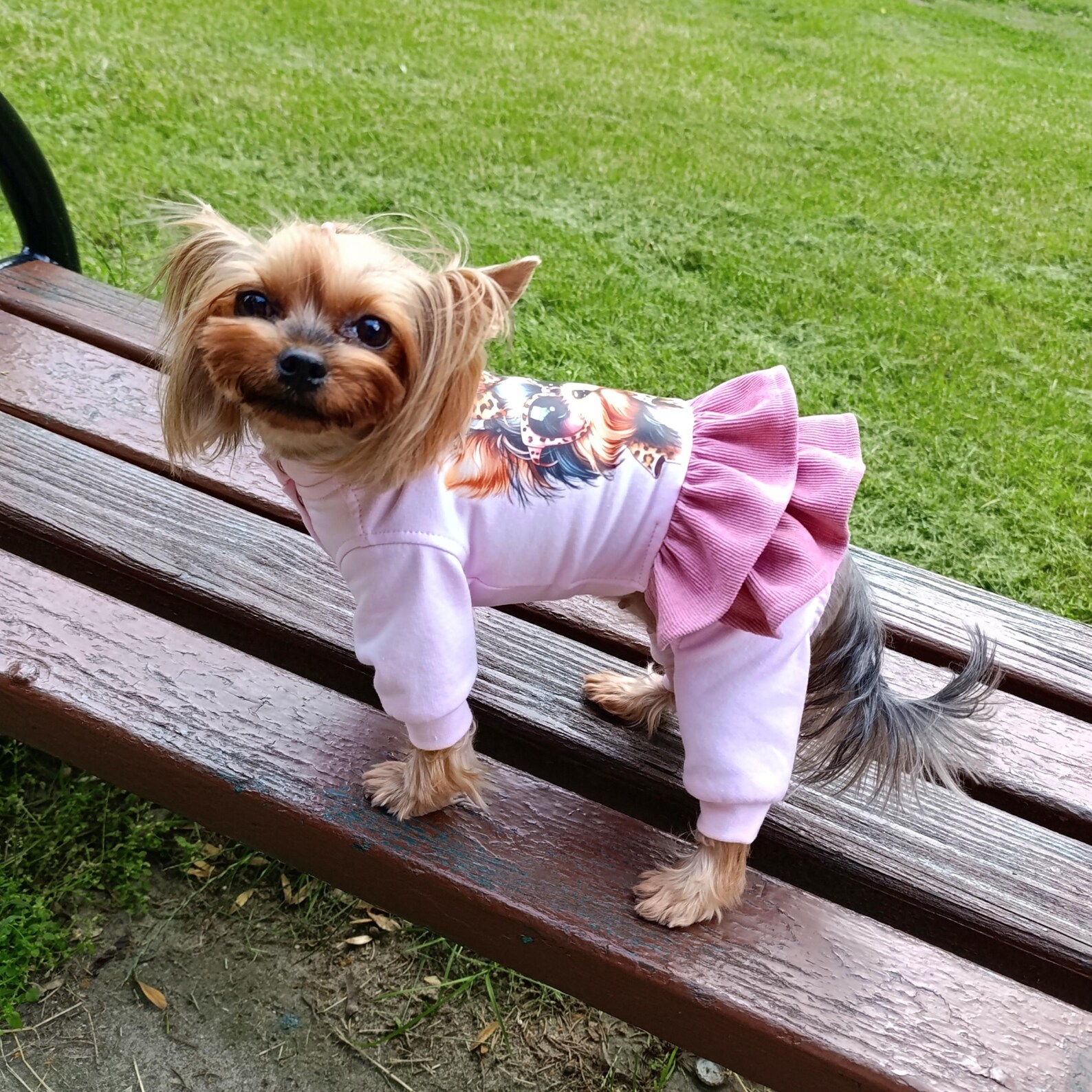 Dog Jumpsuit, Cute Yorkie Girl Outfit, Designer Small Dog Clothes ...