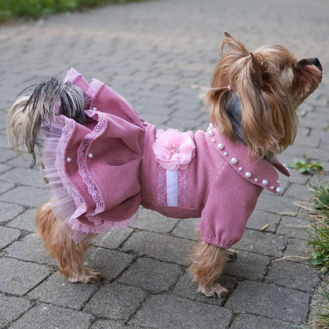 Dog Dress, Designer Small Dog Clothes, Pet Clothes, Chihuahua Girl, Dog ...