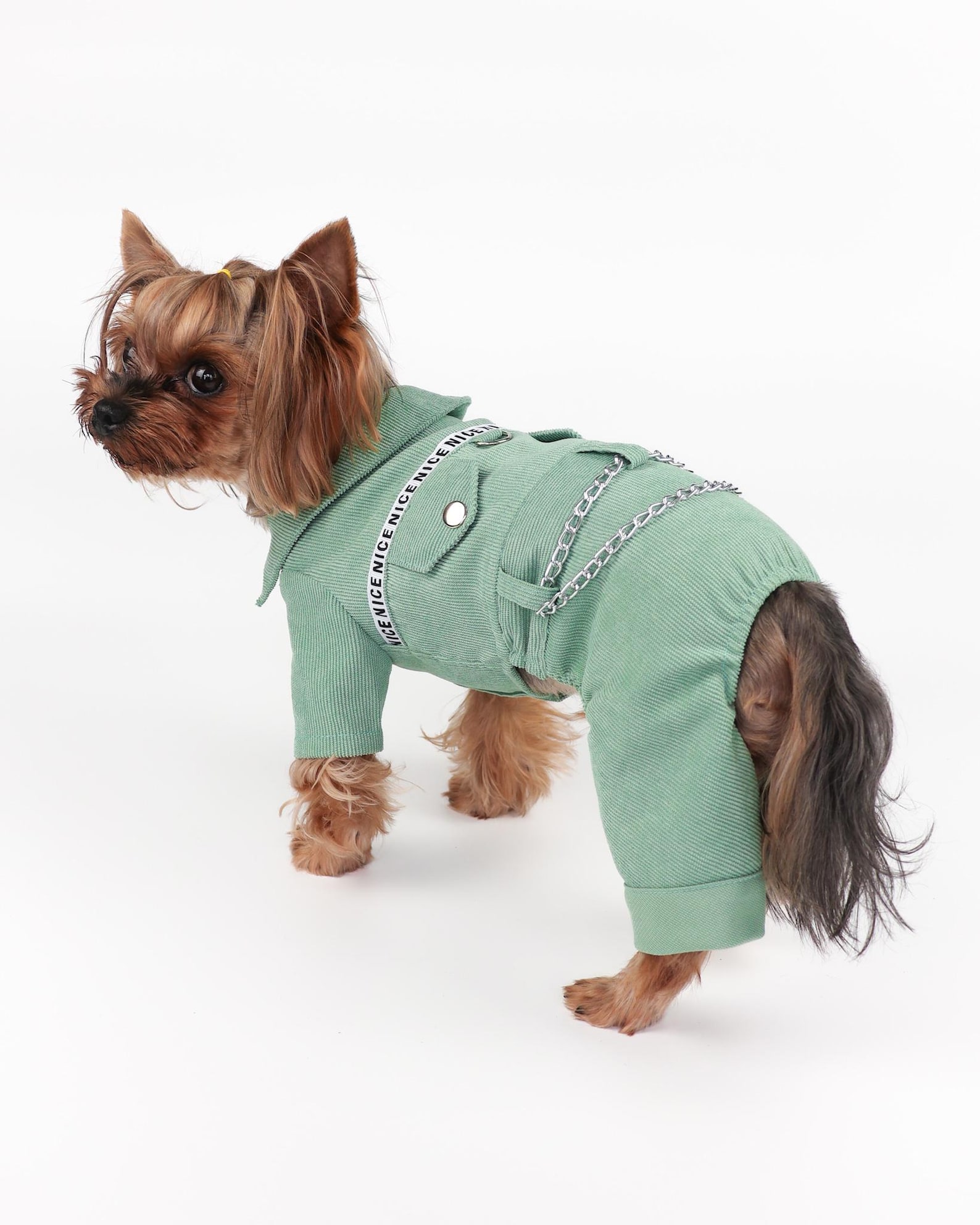Cute Fancy Dog Jumpsuit Boy Dog Clothes Designer Custom Pet Outfit ...
