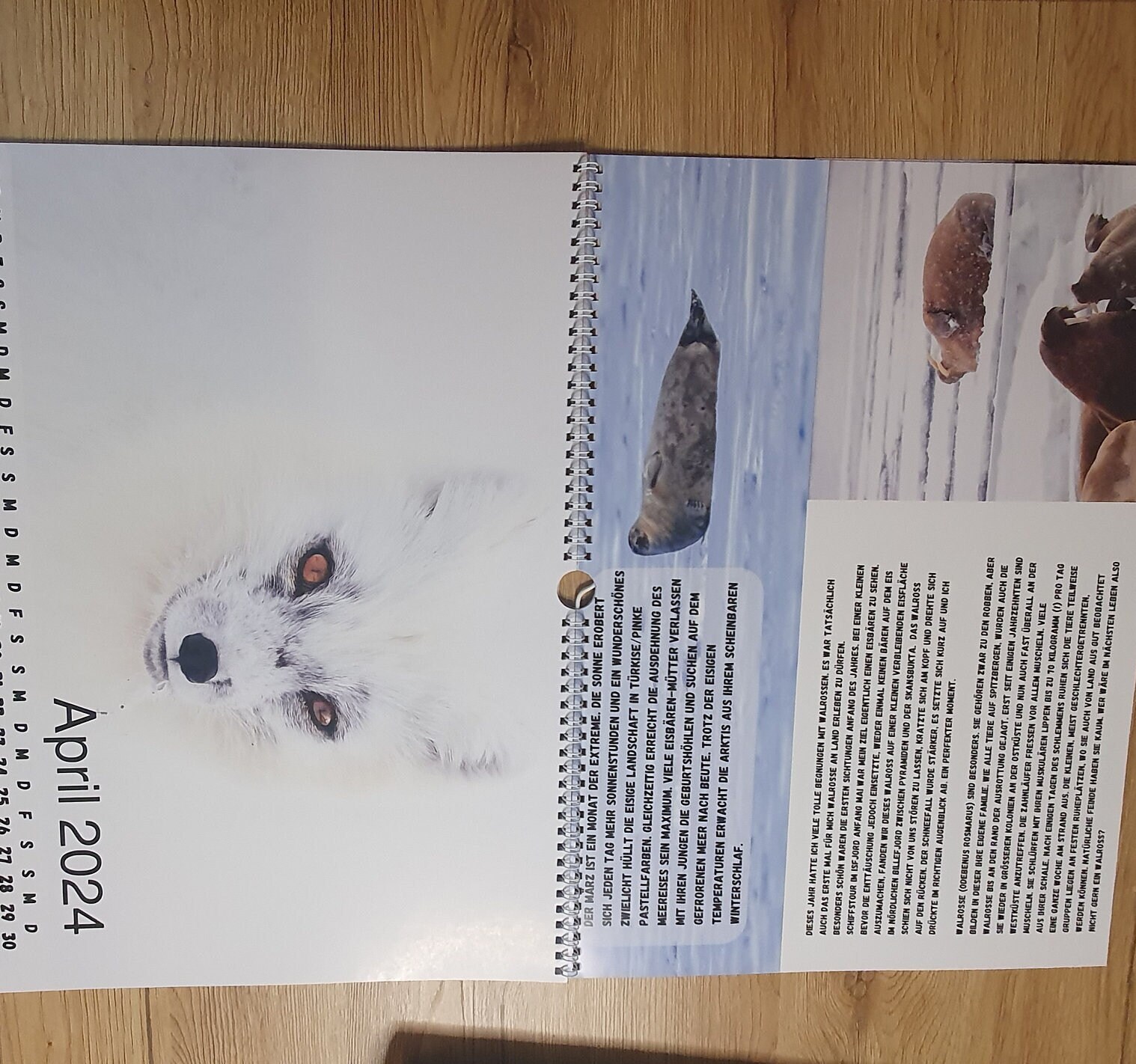Calendar 2024 Arctic Animals photo Calendar A3 - Etsy Canada