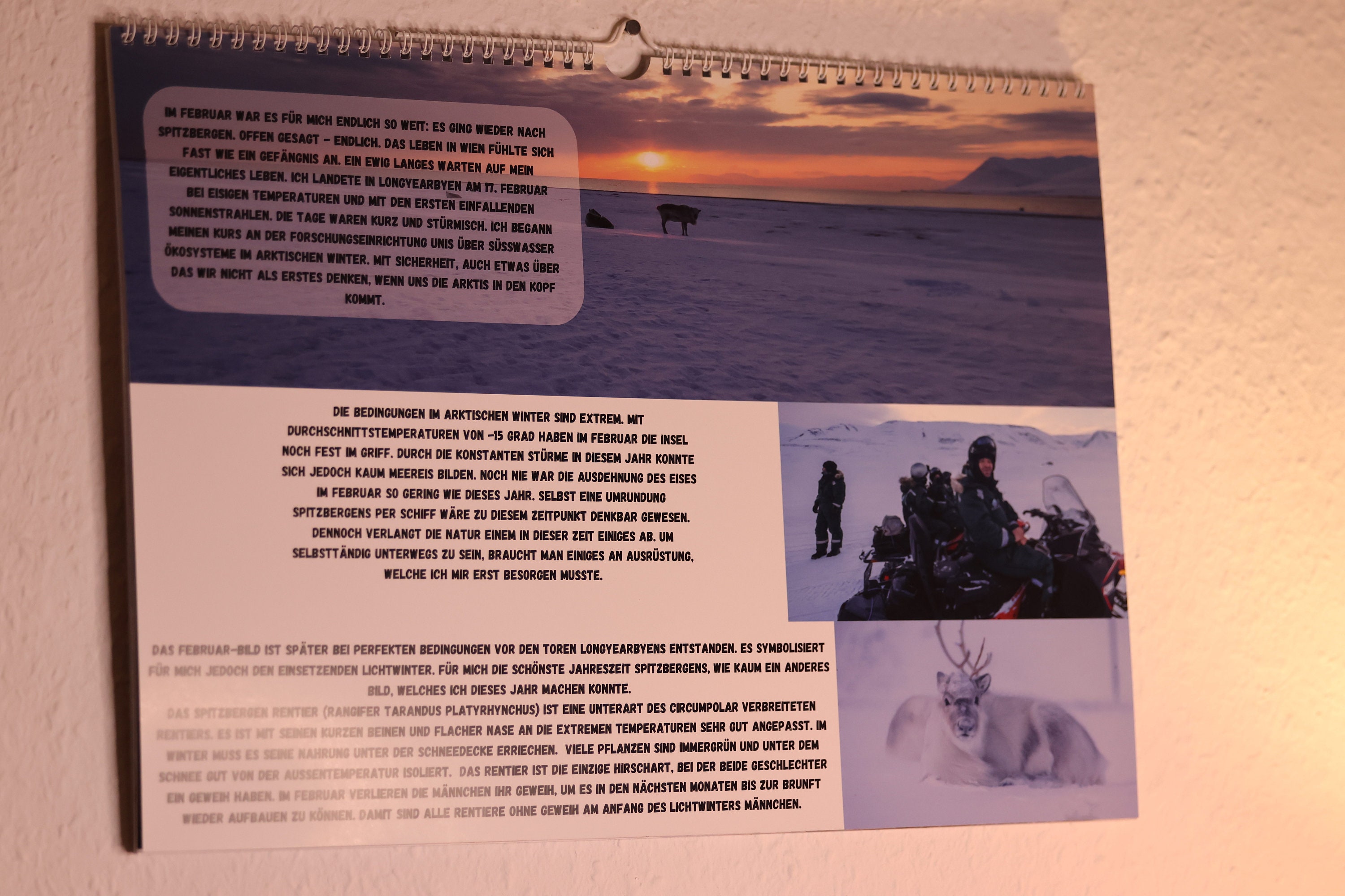 Calendar 2024 Arctic Animals photo Calendar A3 - Etsy Canada