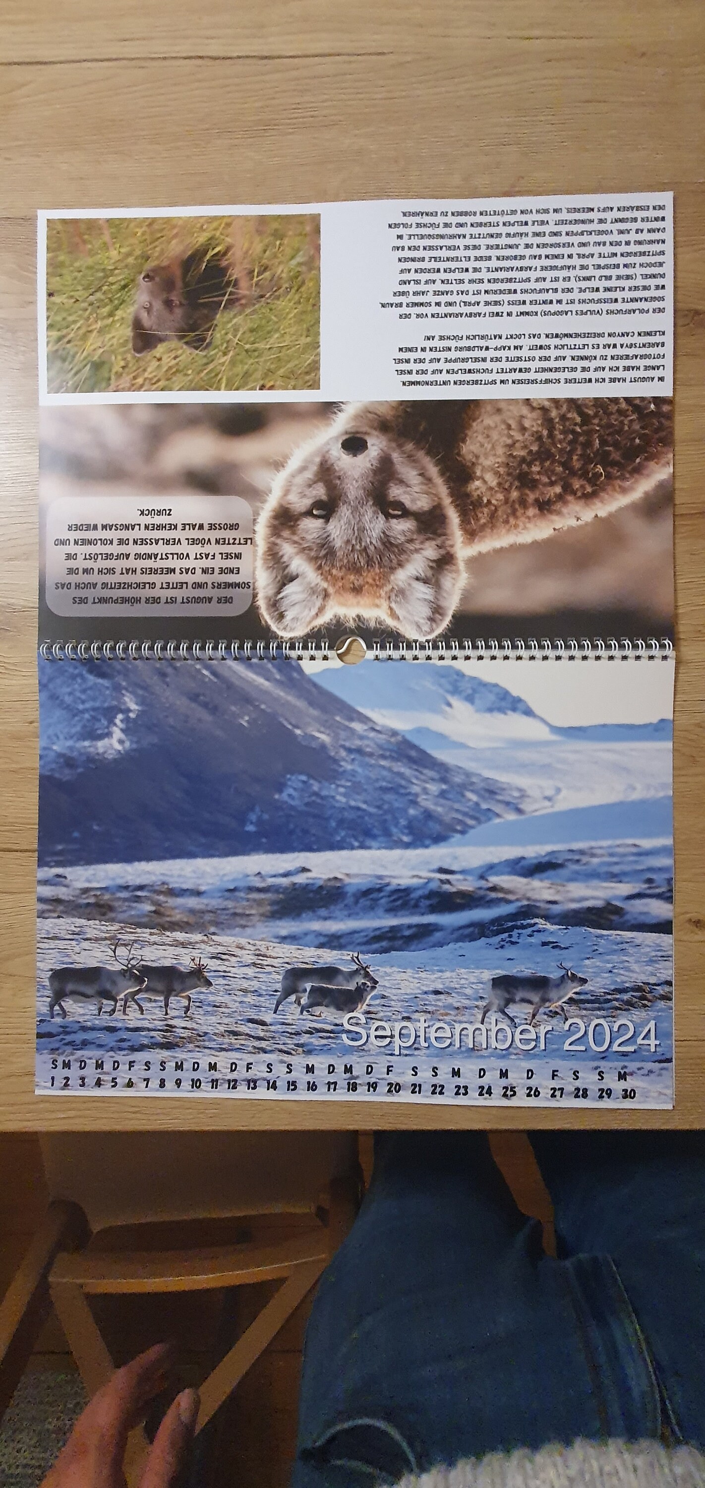 Calendar 2024 Arctic Animals photo Calendar A3 - Etsy Canada